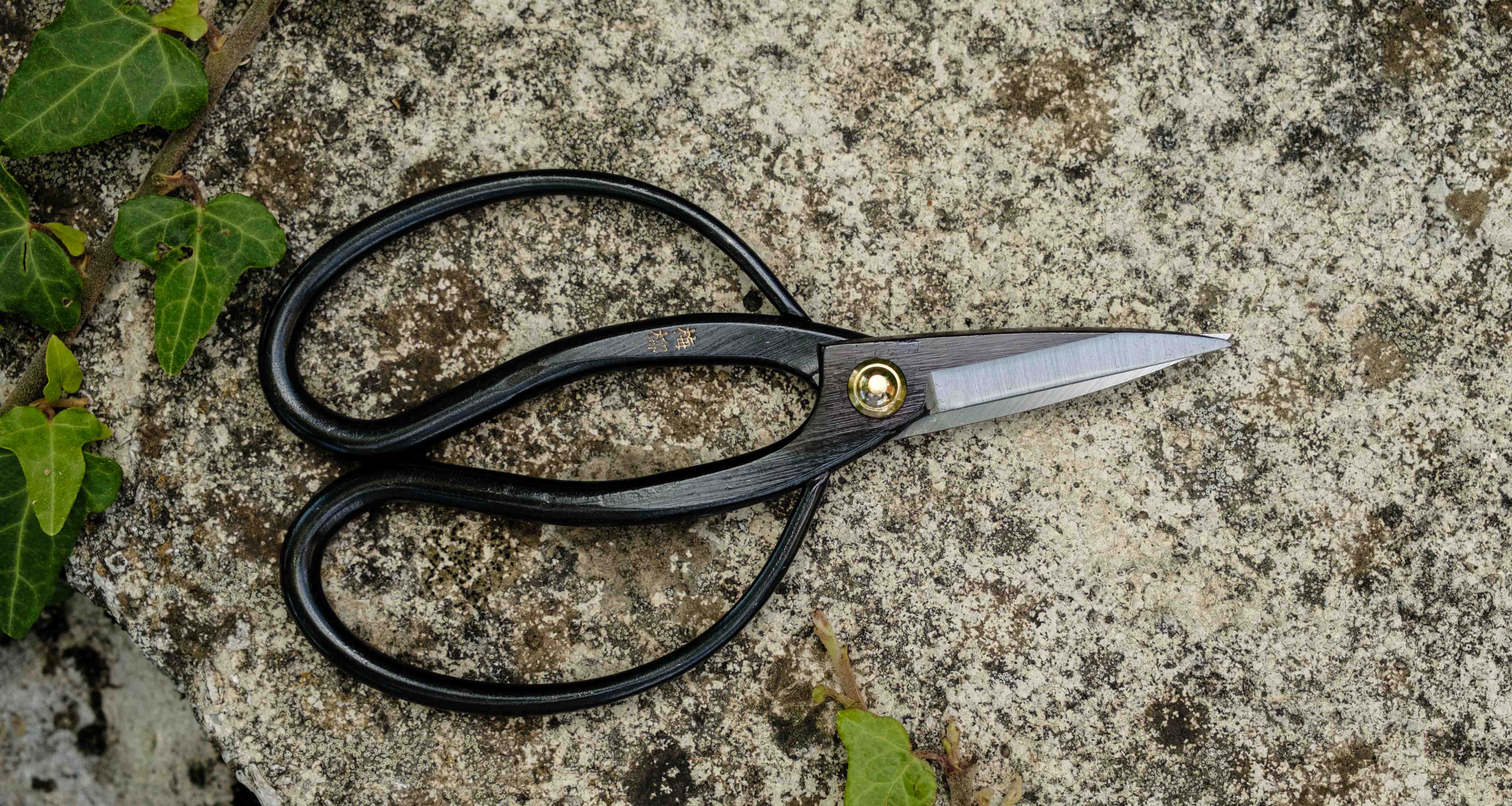 Tsurumaki Bairyu Long Blade Bonsai Okubo Scissors 165 mm – OsterRob